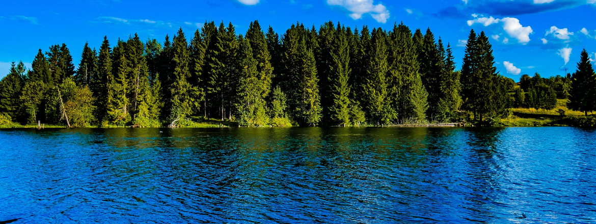 Avondale Lake Real Estate – North Idaho Waterfront Homes