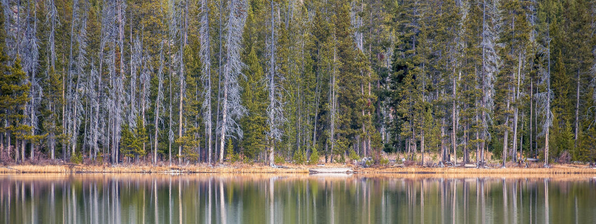 Kelso Lake Real Estate – North Idaho Waterfront Homes