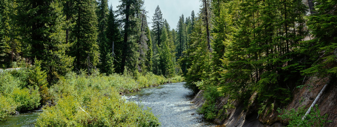 Pack River Real Estate – North Idaho Waterfront Homes