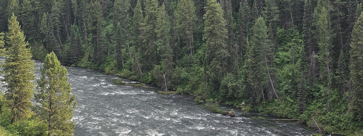 Pack River Real Estate – North Idaho Waterfront Homes