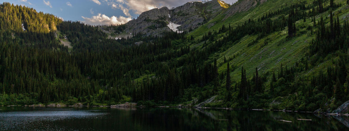 Rose Lake Real Estate – North Idaho Waterfront Homes