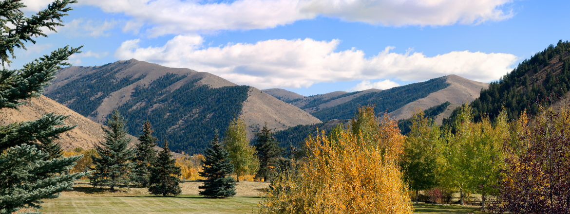 Rathdrum Real Estate | Rathdrum Homes For Sale | PersingerGroup.com