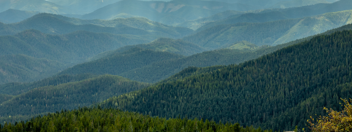 Rathdrum Real Estate | Rathdrum Homes For Sale | PersingerGroup.com