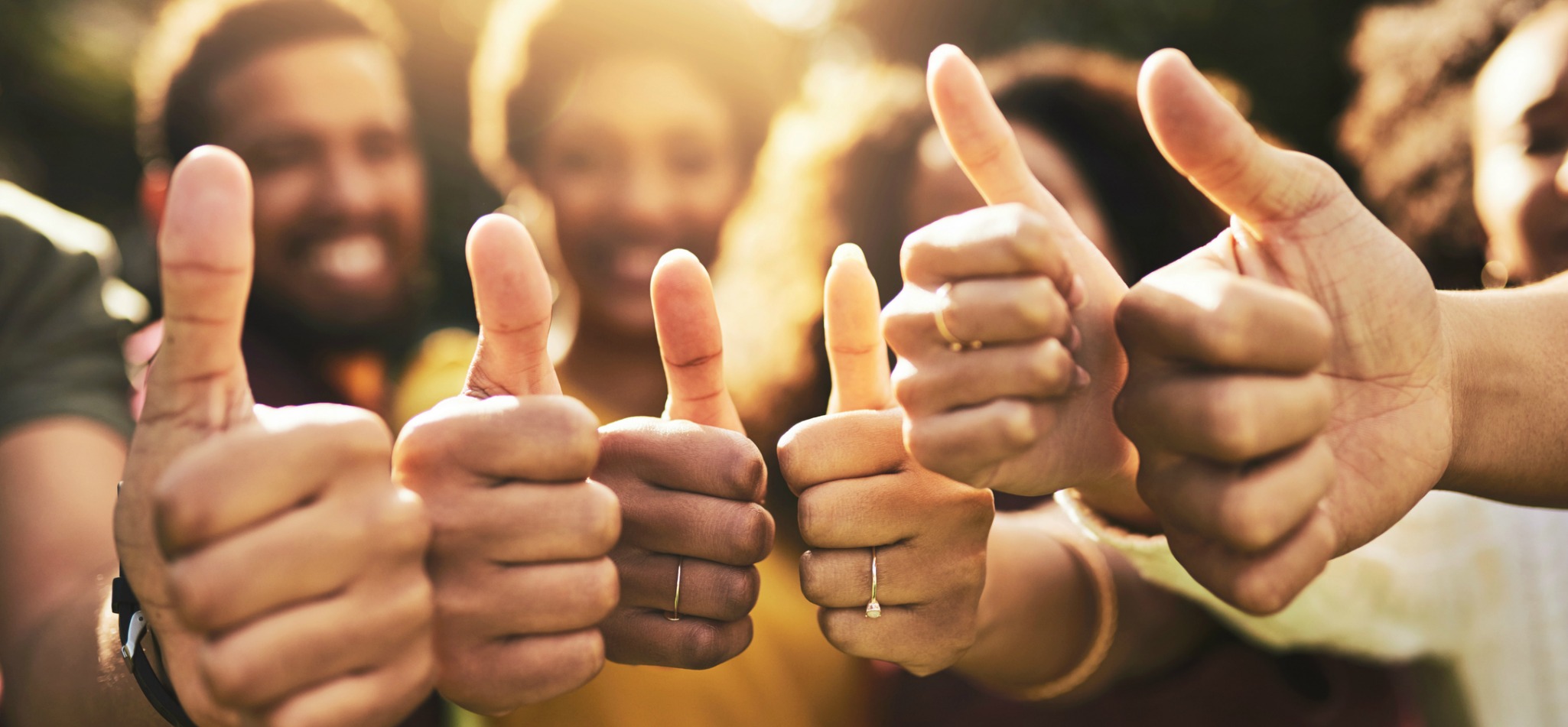 Lee Wilk | Testimonials