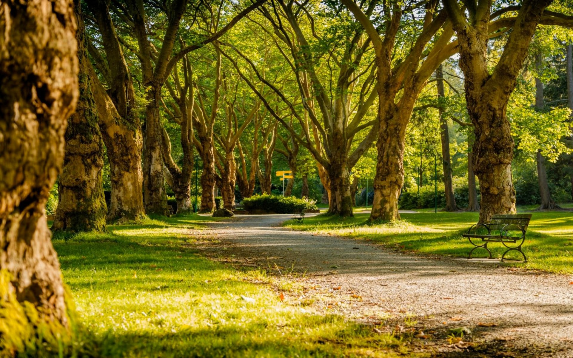 A Guide to Boca Raton, FL, Parks
