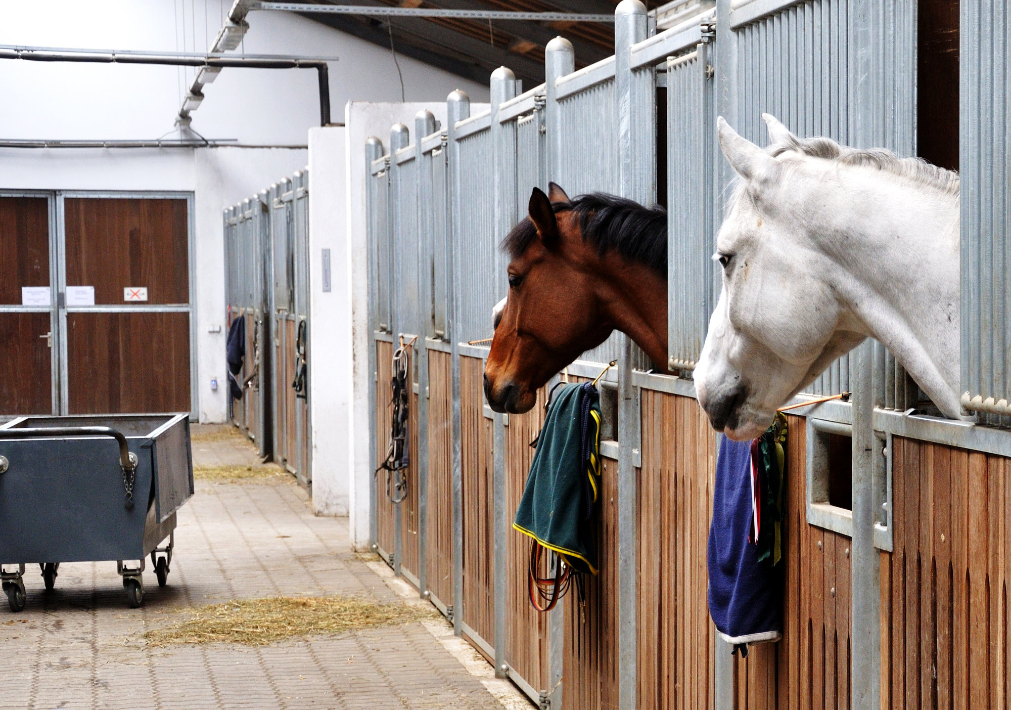 Equestrian Property Denver at Kristy Mulkey blog