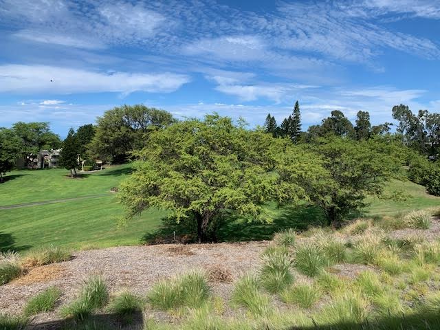 Paniolo Gardens Real Estate | Paniolo Gardens Homes for Sale