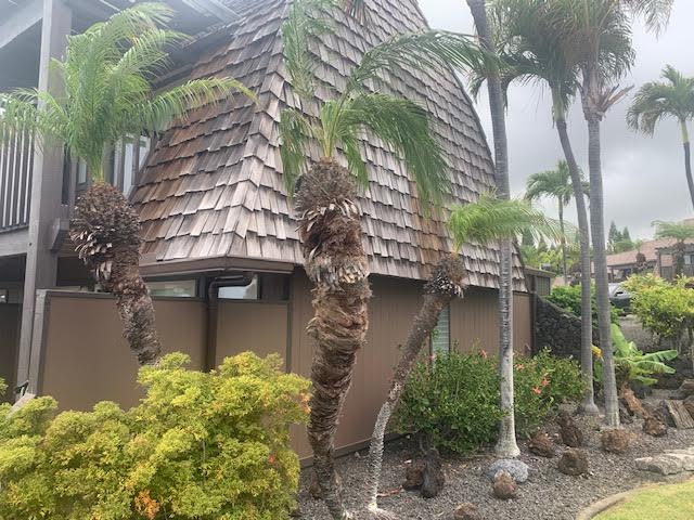 Colony One at Sea Mountain Photos