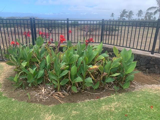 Colony One at Sea Mountain Photos