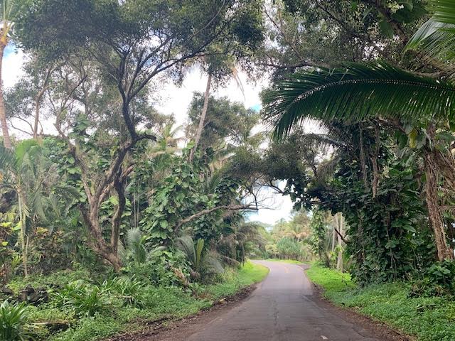 New Road Over Recent Big Island Lava Flow Near Red Road Kapoho Area