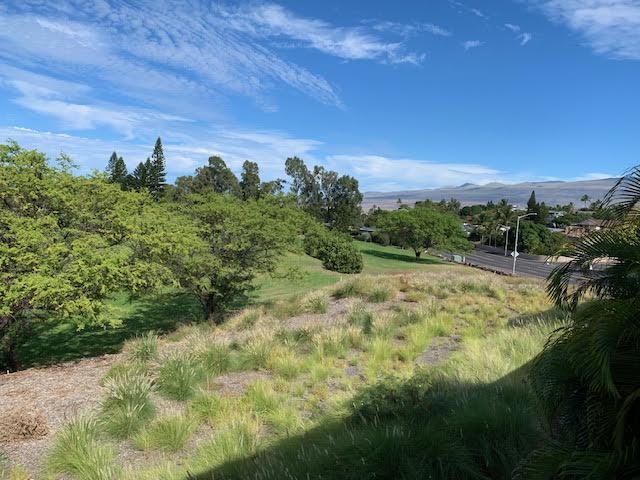 Paniolo Gardens Photos