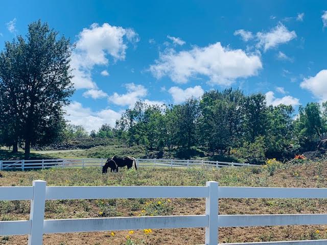 Puu Lani Ranch Photos