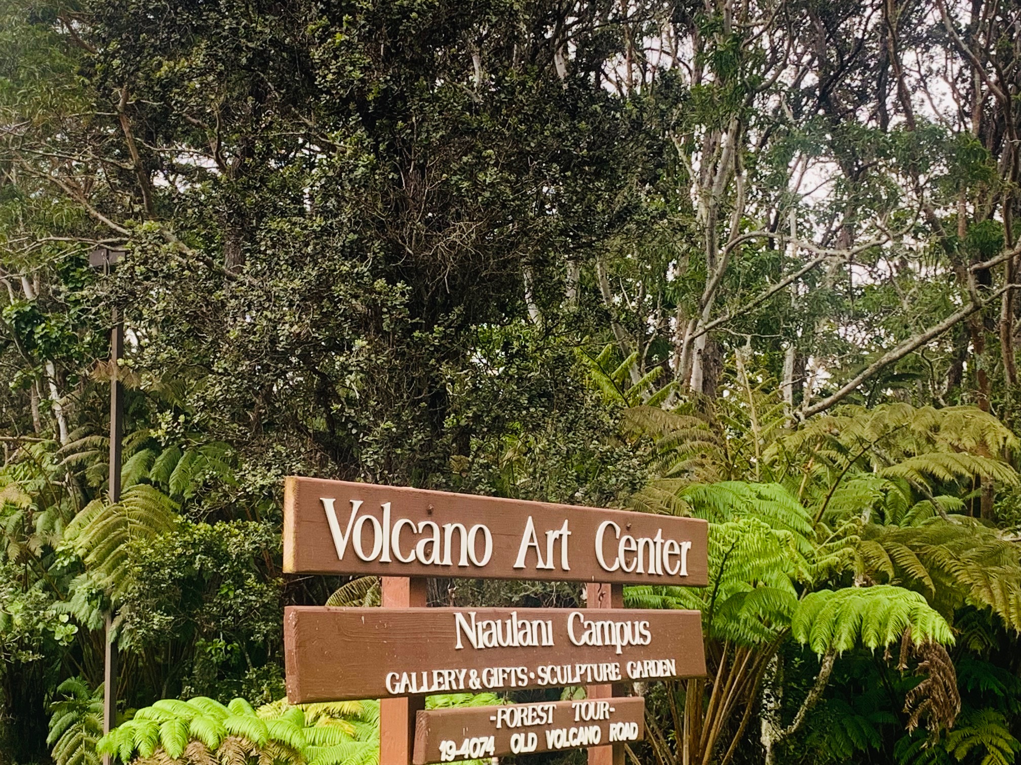 Volcano Art Center Gallery