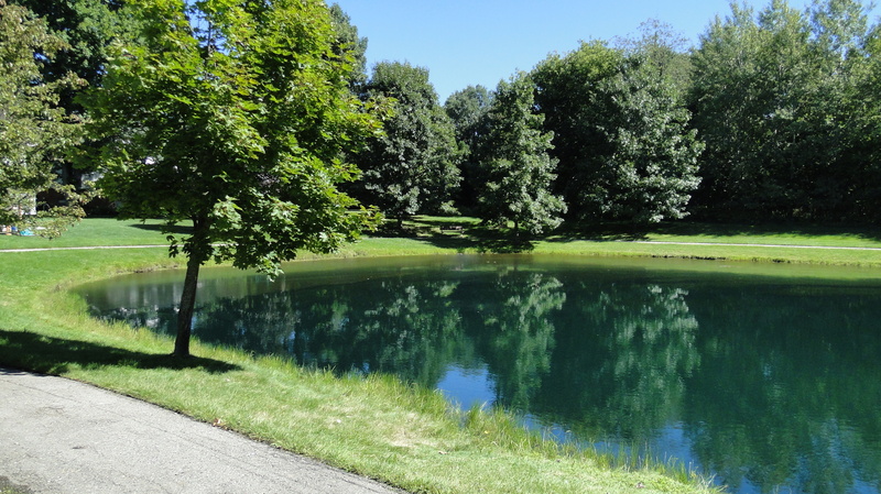 Homes For Sale In Wildwood | Wixom - Homes For Sale In Wixom MI