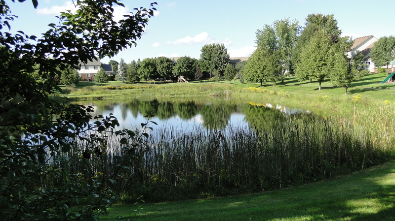 Homes For Sale In Wildwood | Wixom - Homes For Sale In Wixom MI