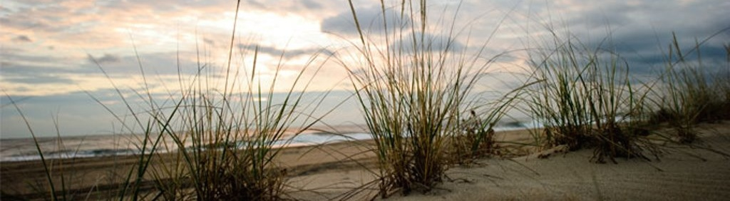 Southern Delaware Waterfront Real Estate