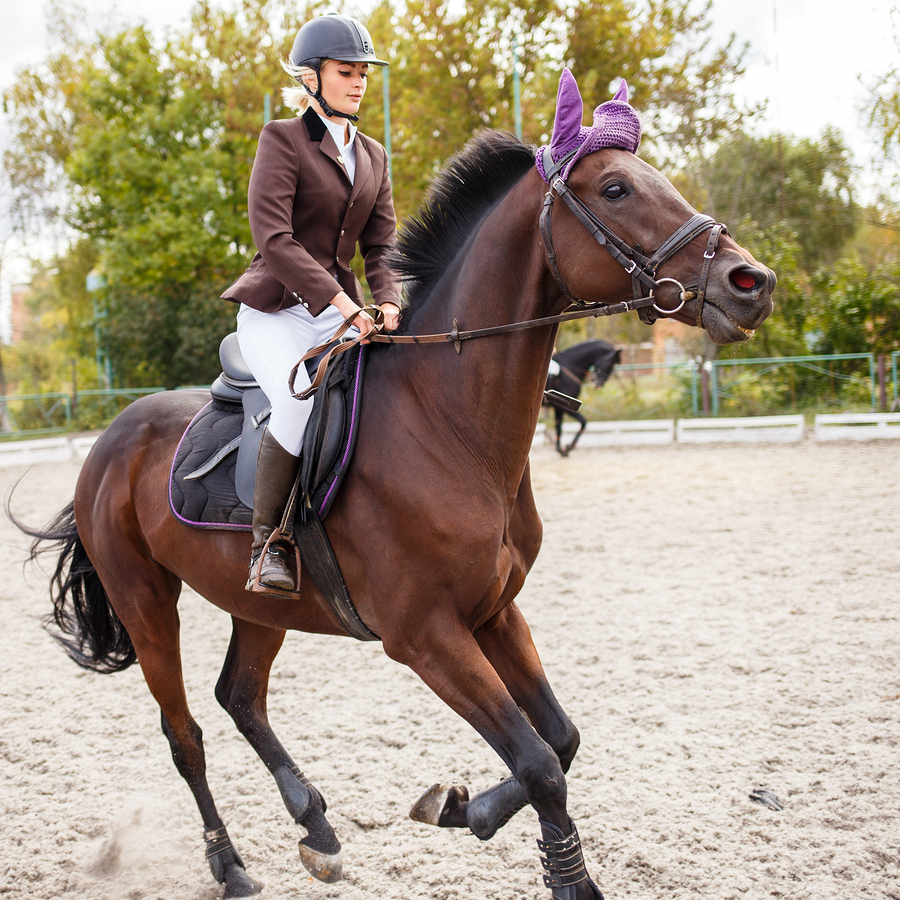 Ride the Trails and Stable Your Horse at Mullet Hall Equestrian Center