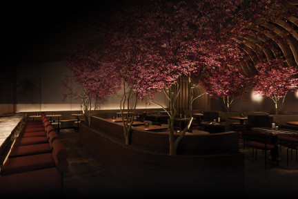 Nami: A Bold and Modern Japanese Dining Experience in Lake Nona