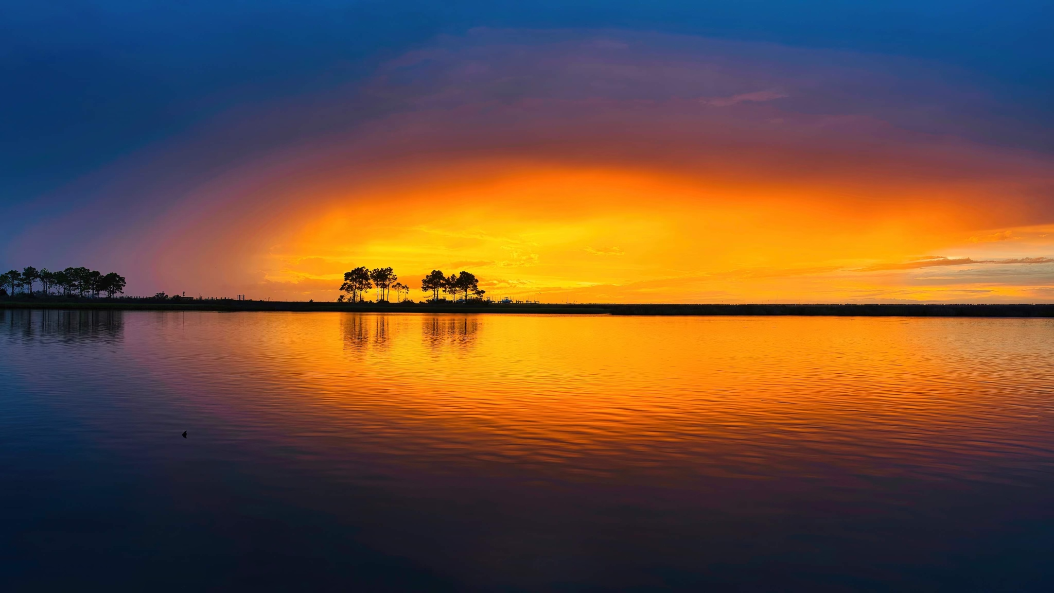 Helping you find your peace of paradise