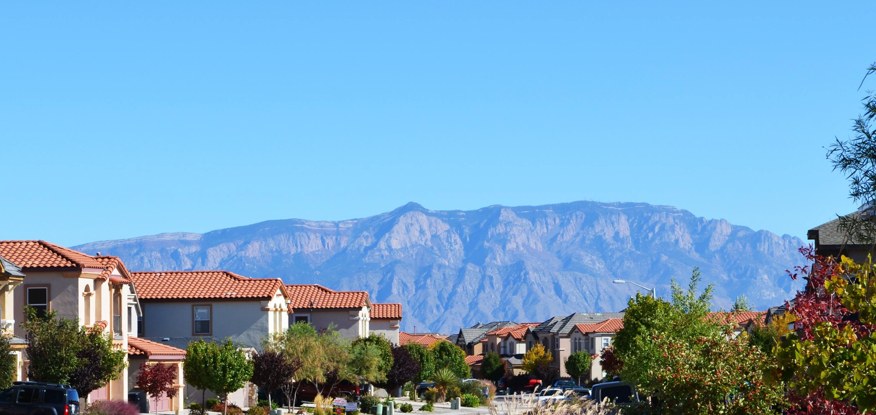 Area Real Estate Site