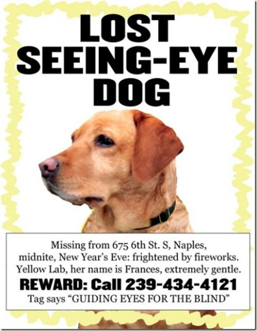 Missing in Naples | Seeing Eye Dog