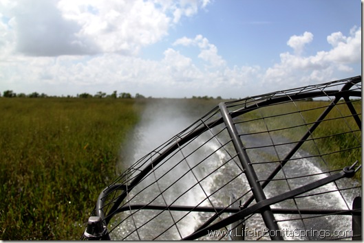 Air Boating in The Florida Everglades – Part Deux