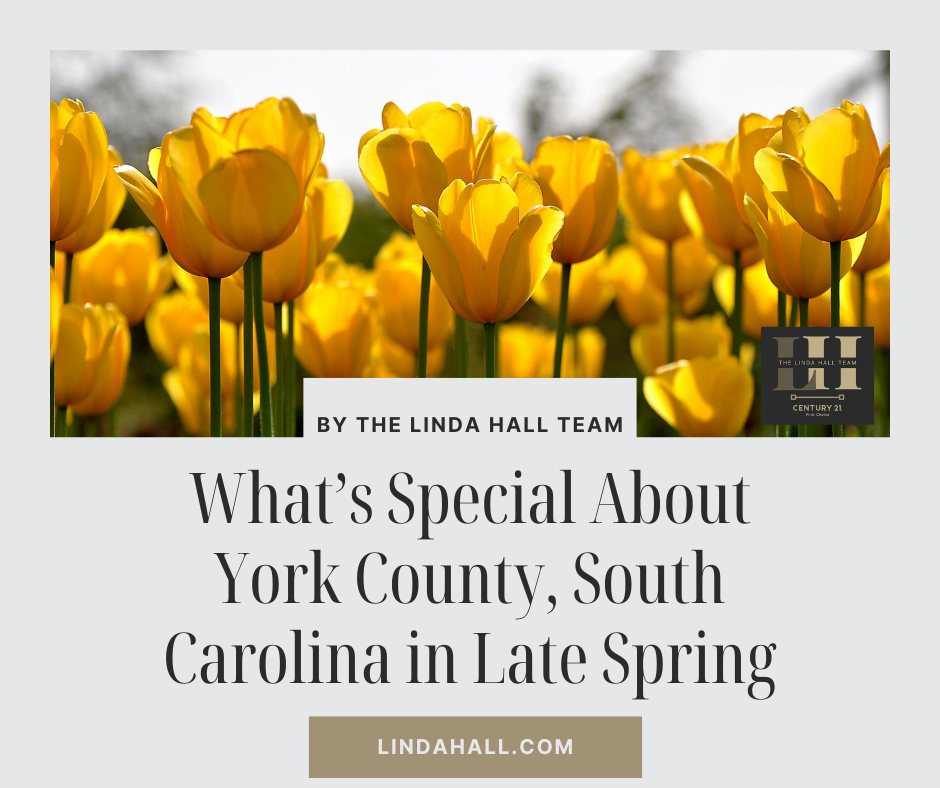 What’s Special About York County, South Carolina in Late Spring
