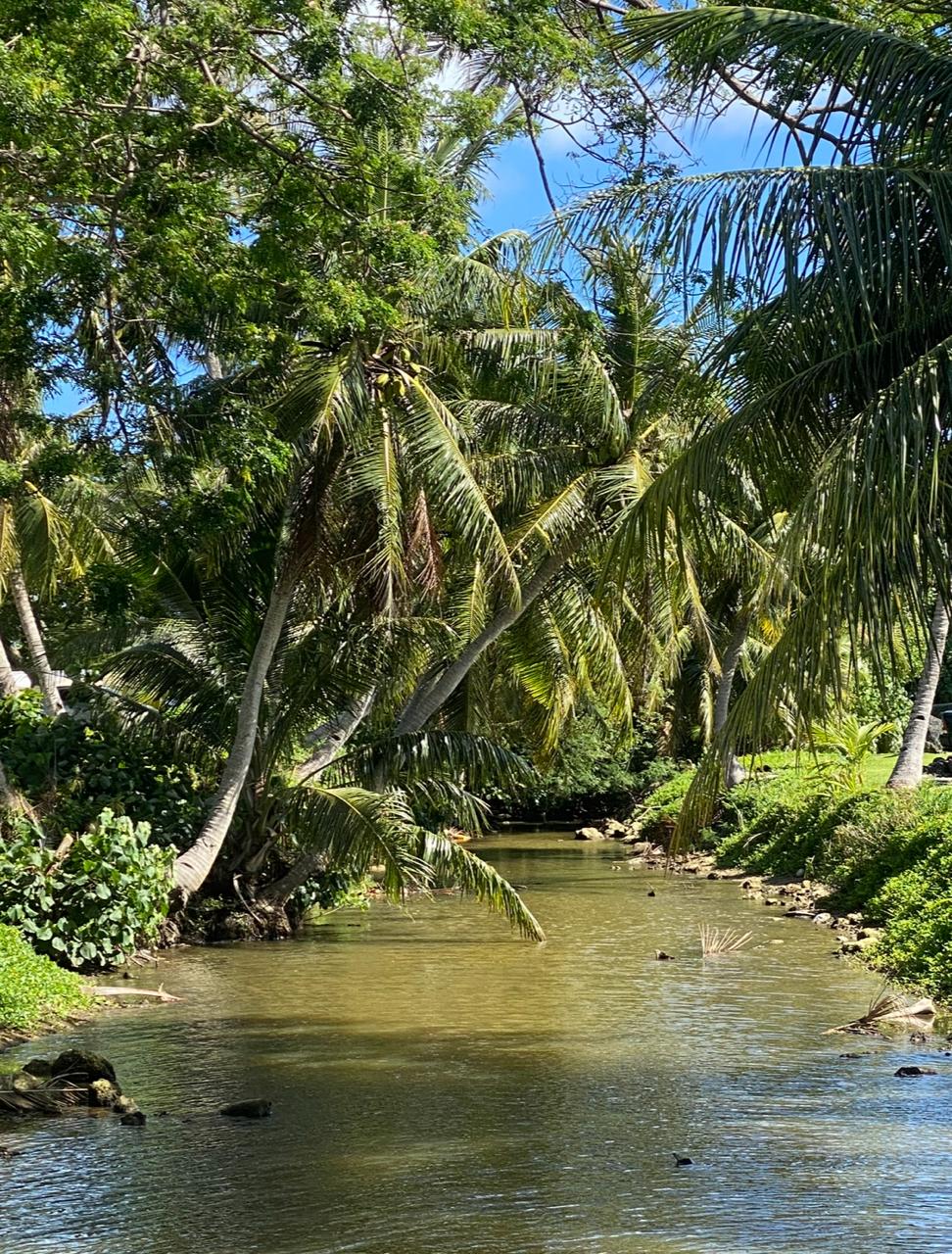 Trekking Guam's Trails: Your Local's Guide to the Island's Most ...