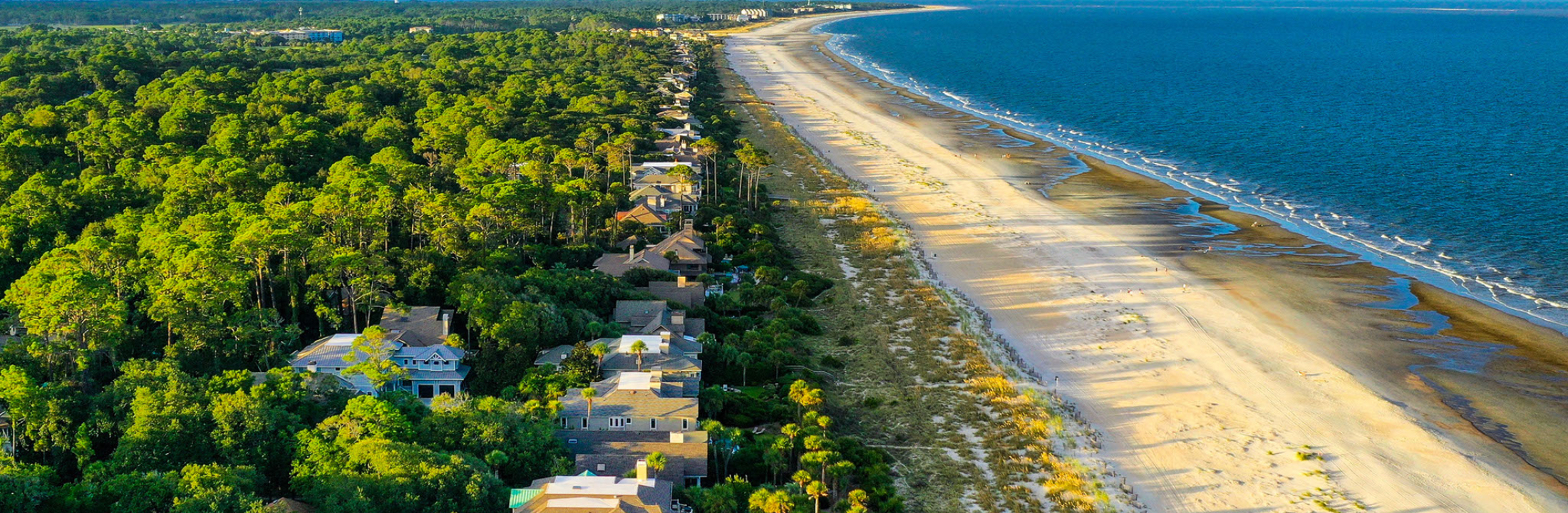 Forest Beach Oceanfront Homes for Sale | Hilton Head Island, SC