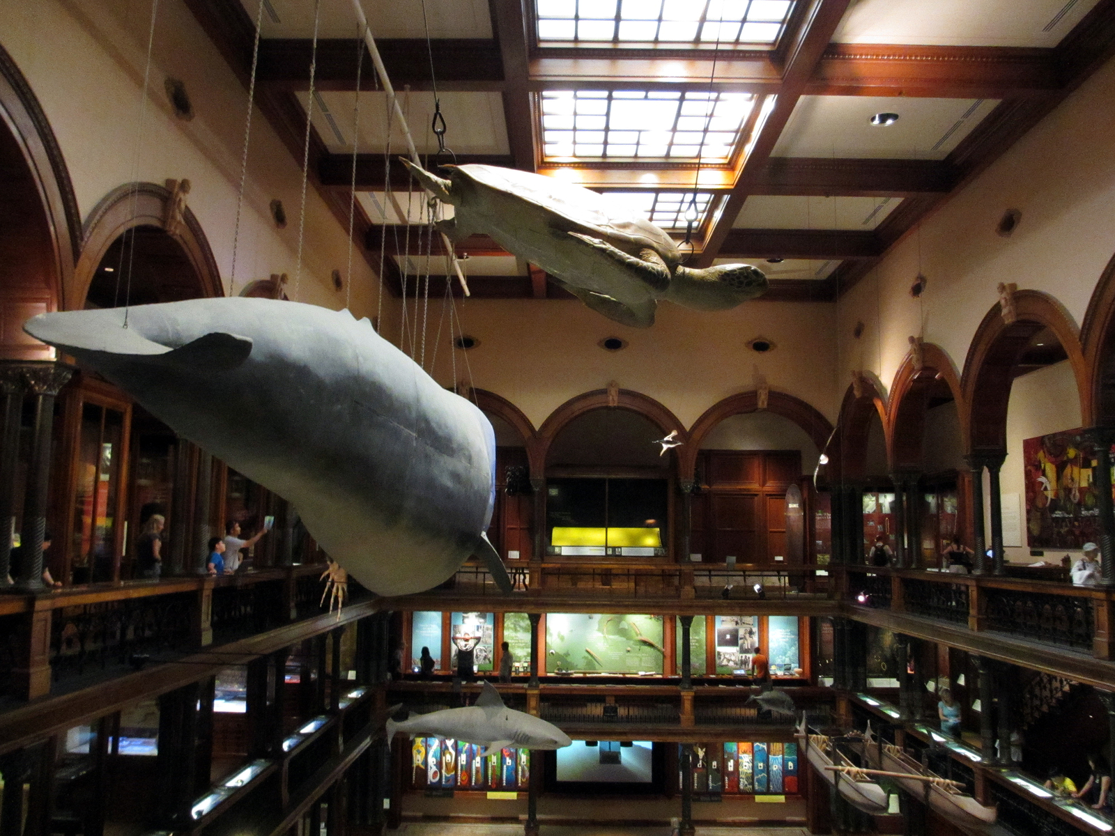 Whitmore Village Home Owners Get to Know Hawaii at Bishop Museum