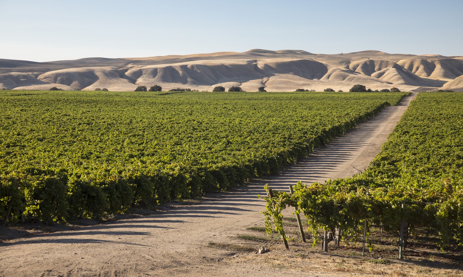 Paso Robles CA Homes For Sale