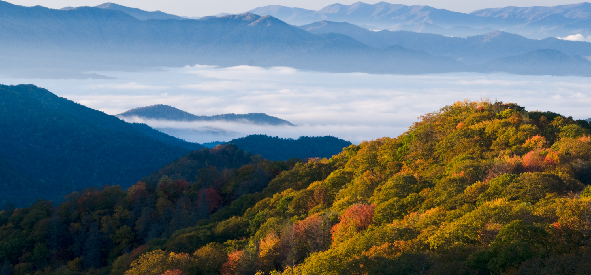 English Mountain TN Condos For Sale - TNRealEstate.Auction