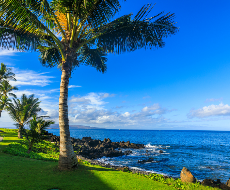 From Beachfront to Mountain View:Exploring Maui’s Diverse Real Estate ...