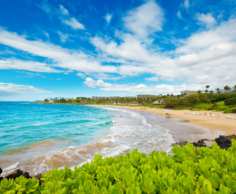 The Top 3 Beaches in Maui: Paradise on Earth