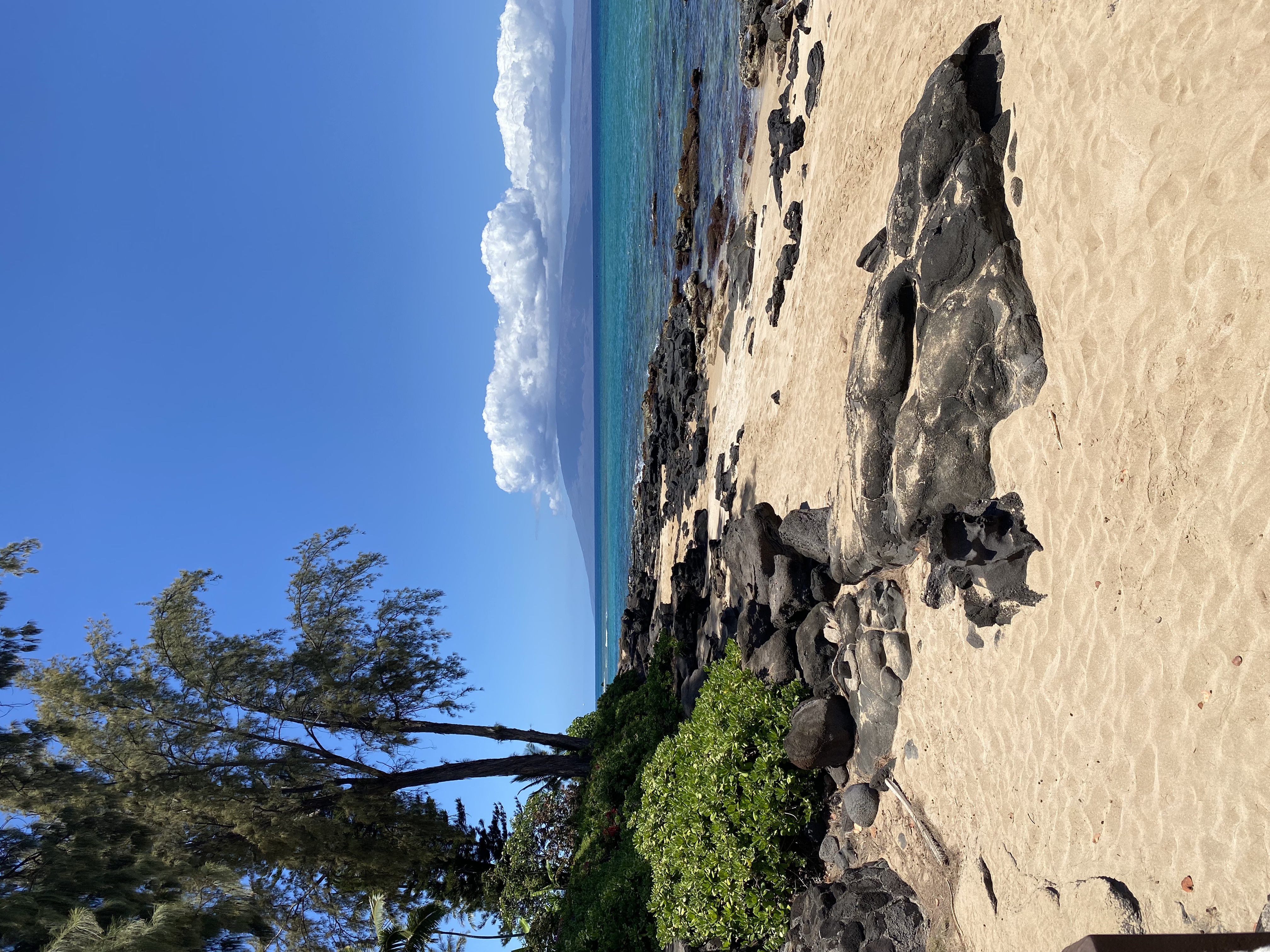 Mahinahina Beach real estate