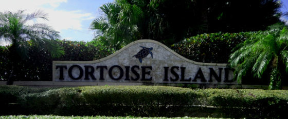 Tortoise Island Real Estate - Tortoise Island Homes for Sale - Tortoise ...