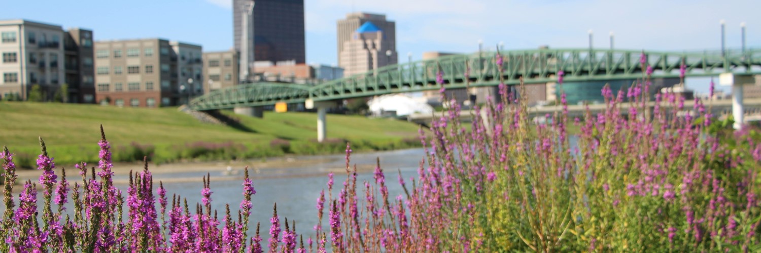 Top 10 Suburbs In Dayton, OH You Must Know About