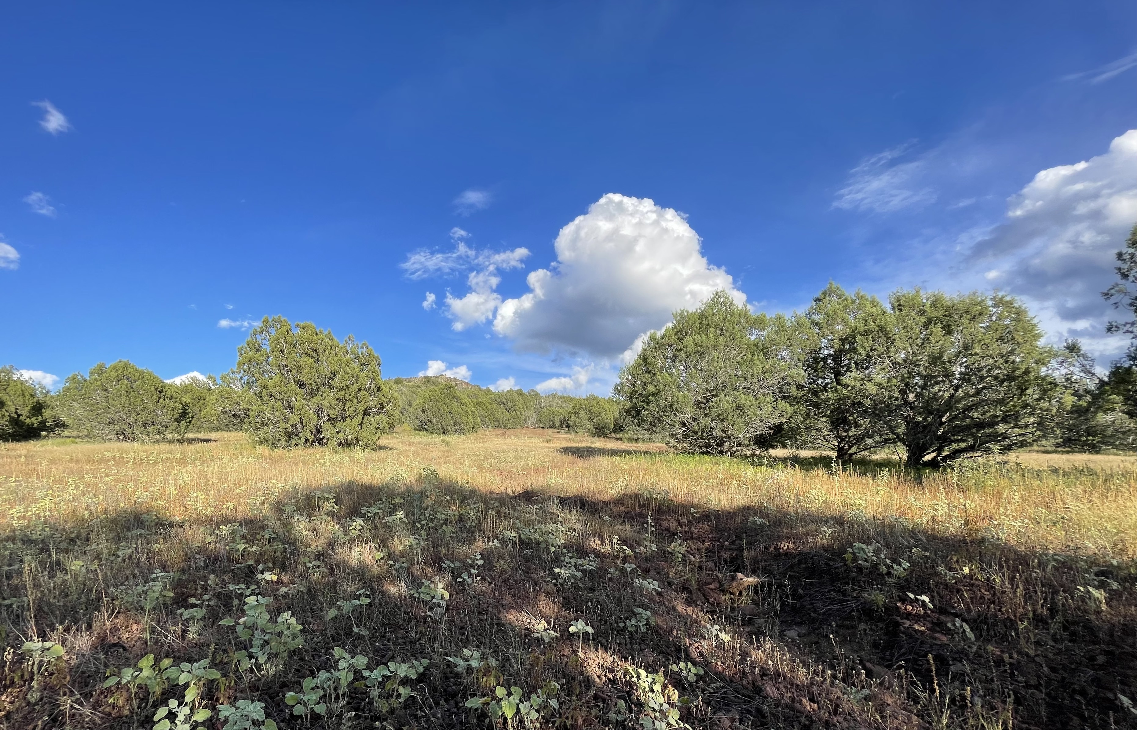 Your Northern Arizona Real Estate Resource