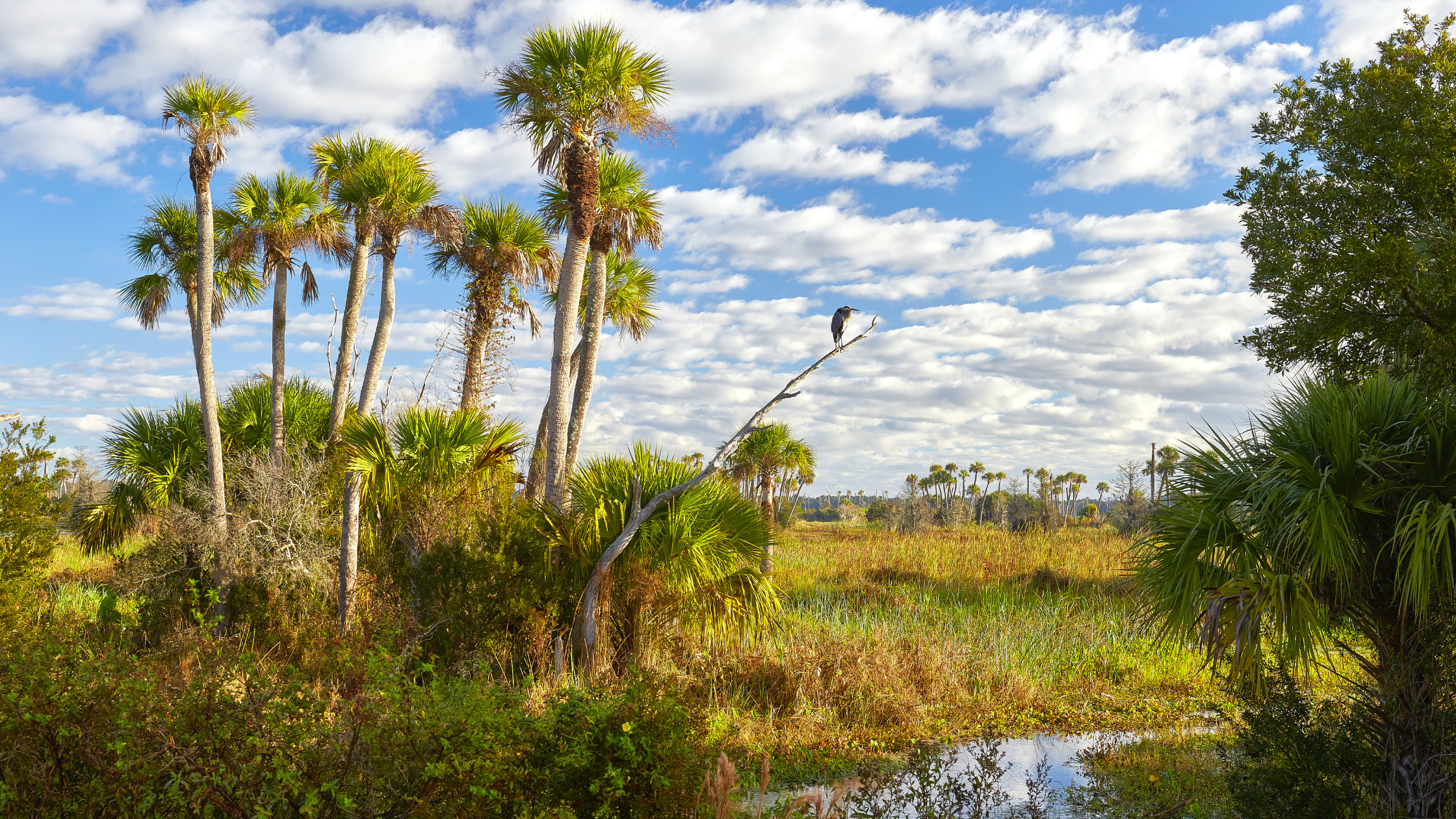 Stuart FL Area Parks