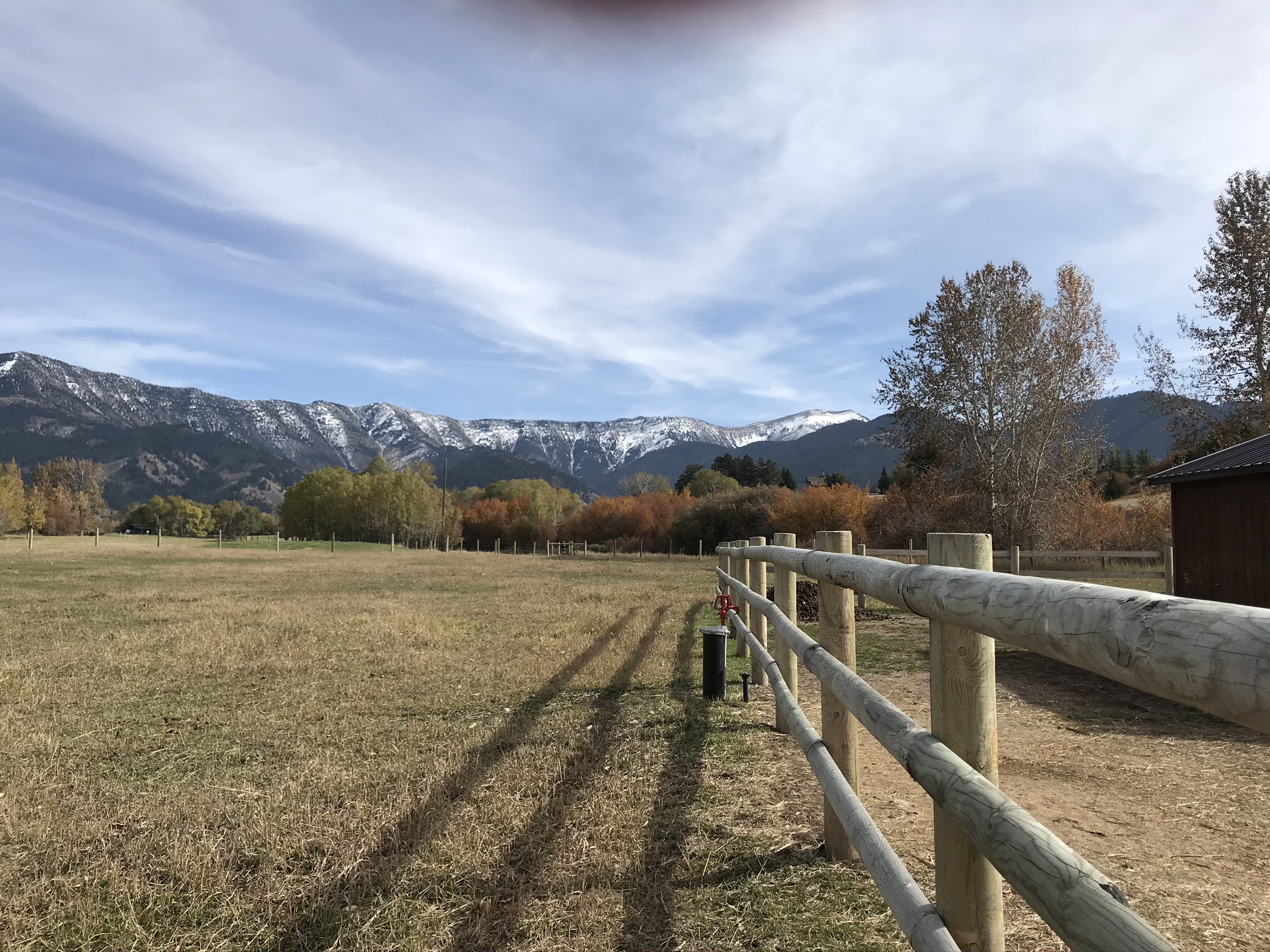 Springhill Community