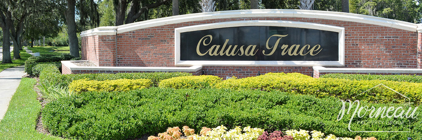 Calusa Trace Real Estate in Lutz, Florida| Morneau Property Group