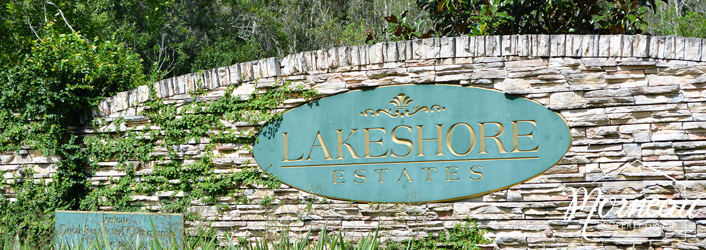 Lakeshore Estates Real Estate in Lutz, Florida| Morneau Property Group