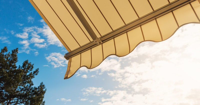 Ideas for Adding Shade