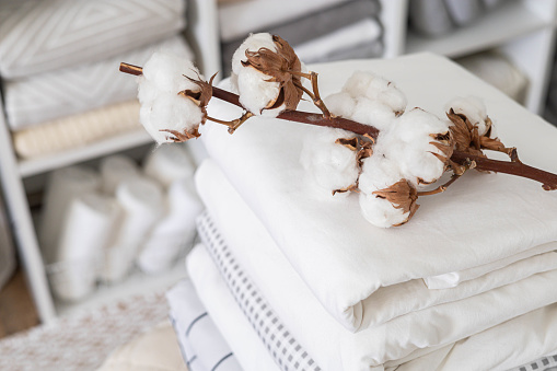 Enhancing Comfort with High-Quality Linens and Amenities