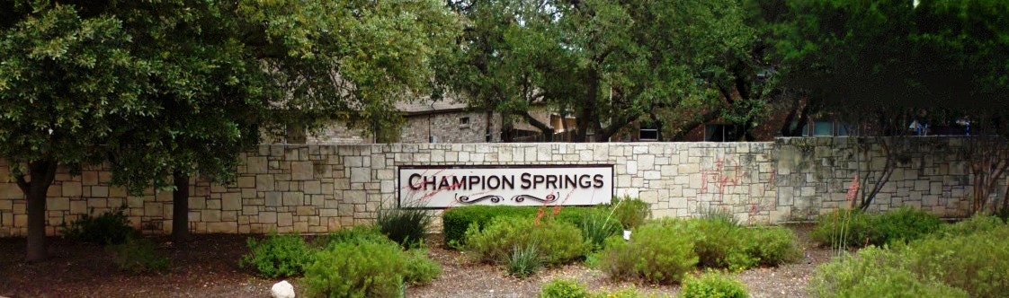 Champion Springs Homes for Sale - San Antonio Real Estate