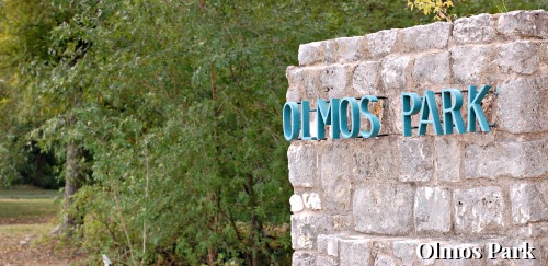 Olmos Park Homes for Sale - San Antonio Real Estate