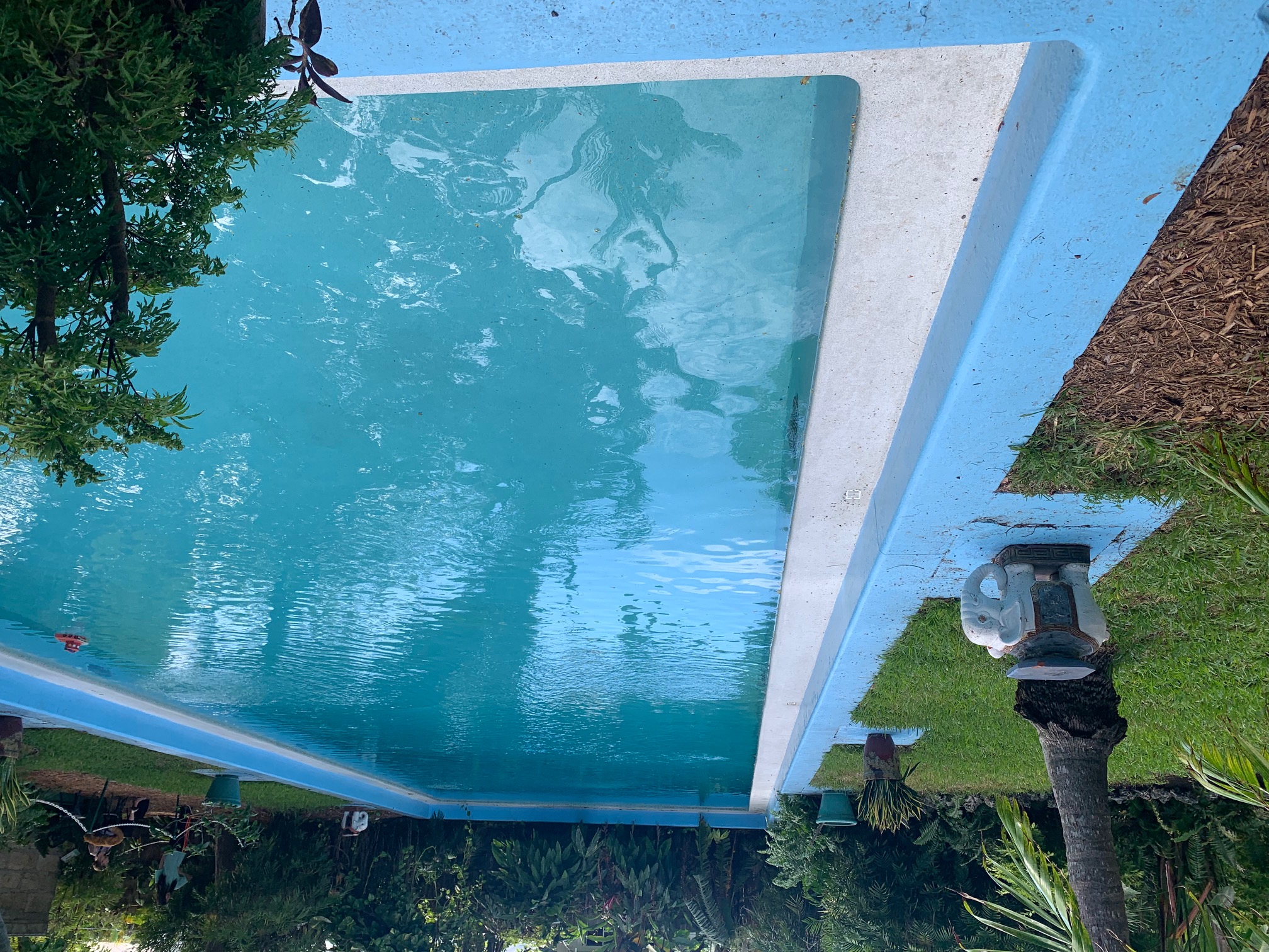 The Hemingway Home and Museum