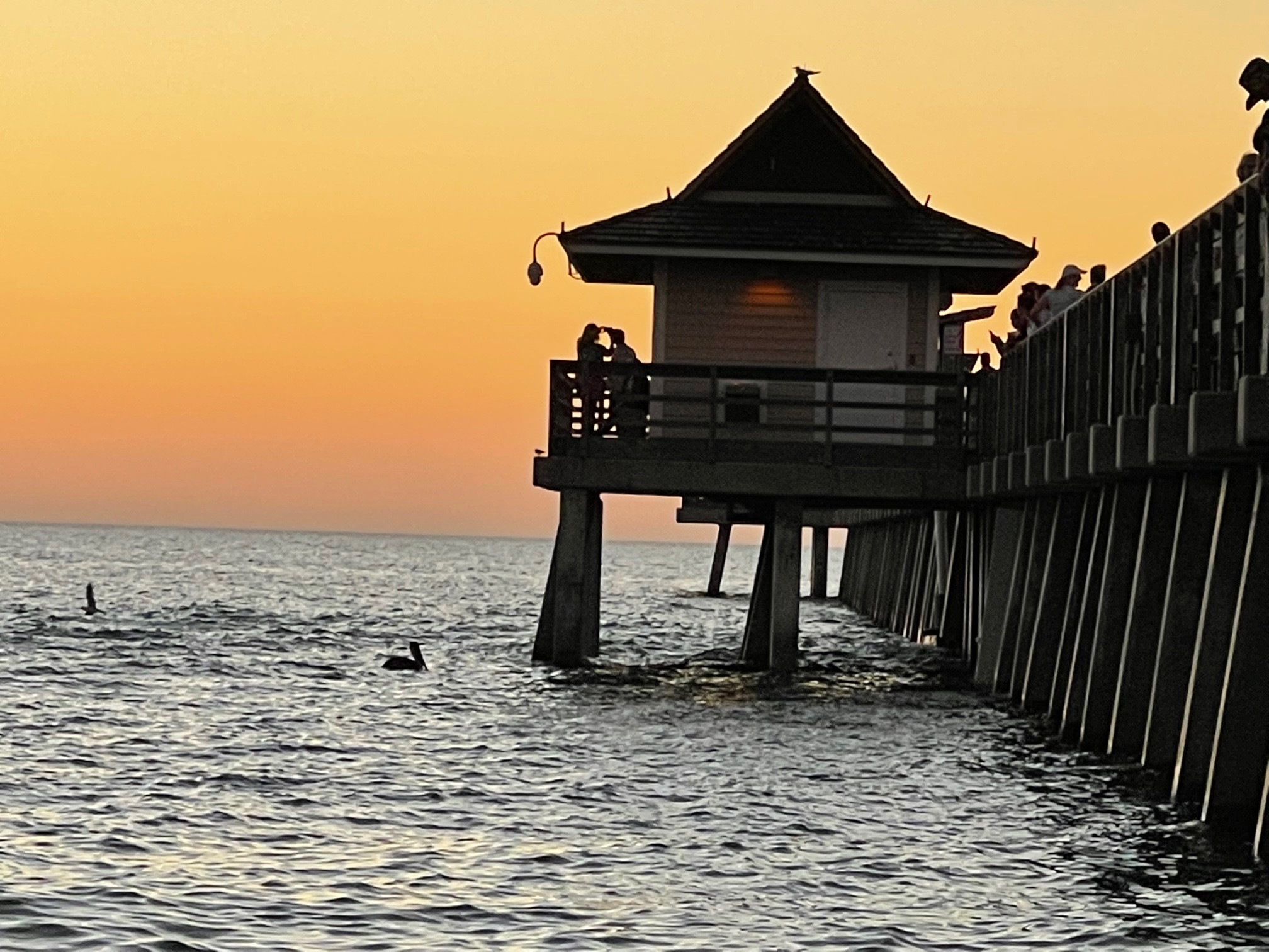Naples Pier Luxury Southwest Florida Most Visited Destination Winter ...