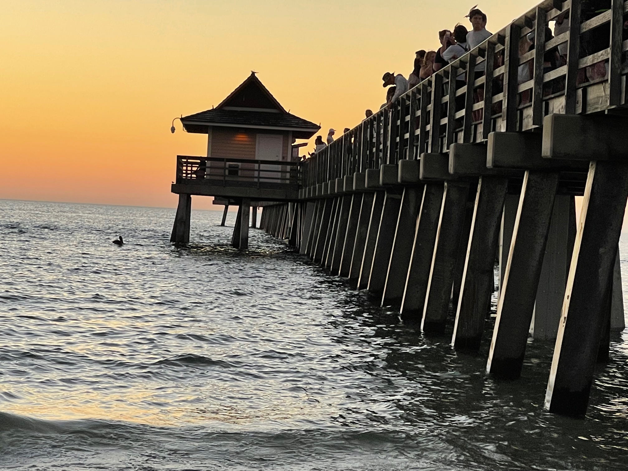 Naples Pier Luxury Southwest Florida Most Visited Destination Winter ...