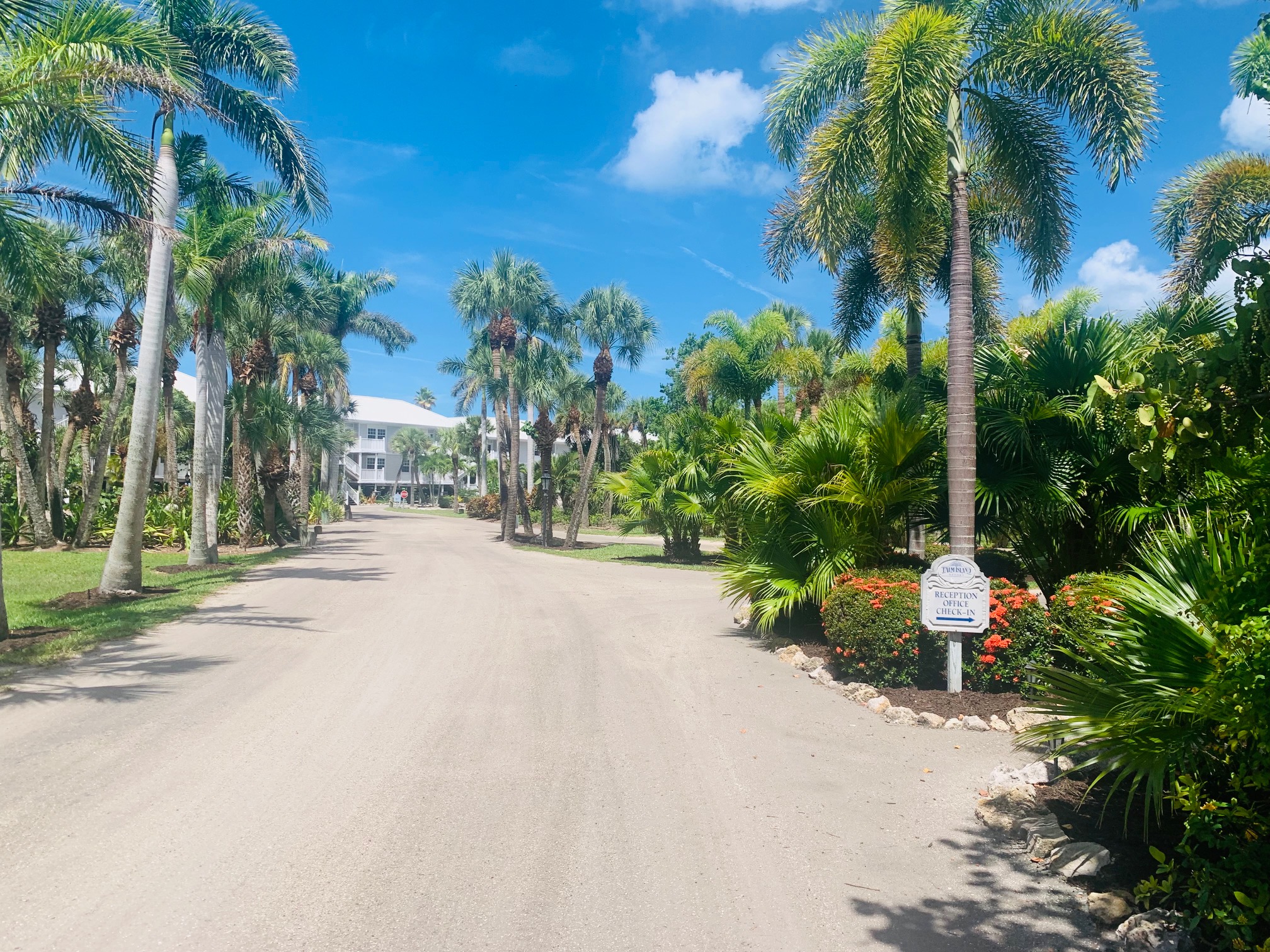 Palm Island (Don Pedro) Photos